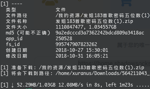 校园网下的ipv6代理 | XUranus